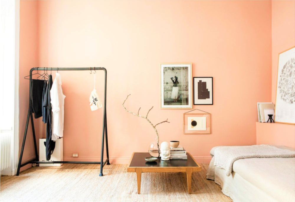 GALAXY SILK - Shell Paints